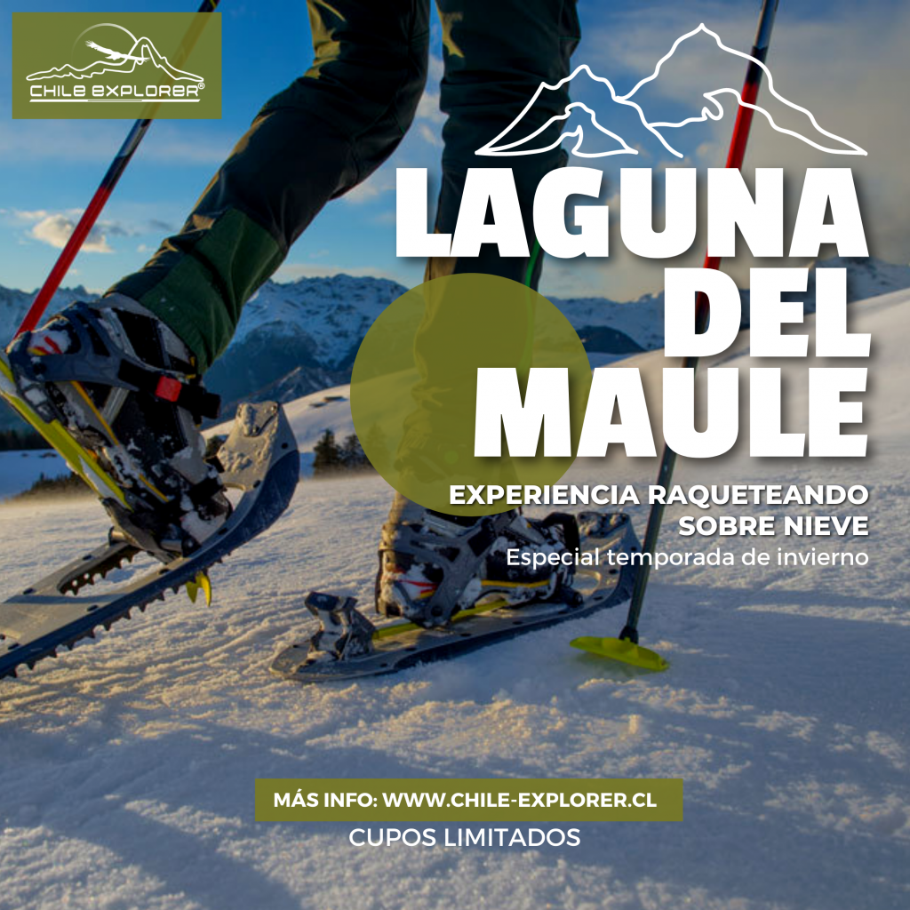 Chile Explorer – Turismo