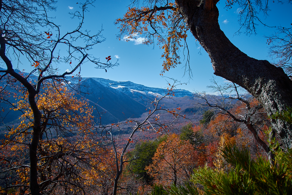 Trekking Familiar – Altos de Lircay – Chile Explorer